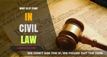 Understanding Civil Law Basics: A Simple Guide For Beginners | LawShun