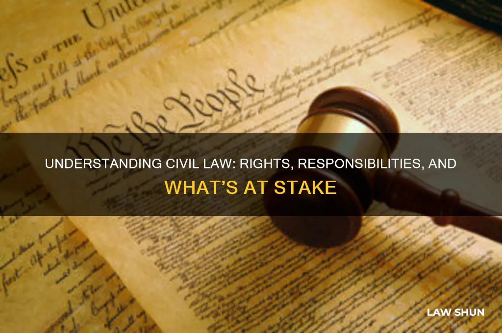 Understanding Civil Law: Rights, Responsibilities, And What’S At Stake ...