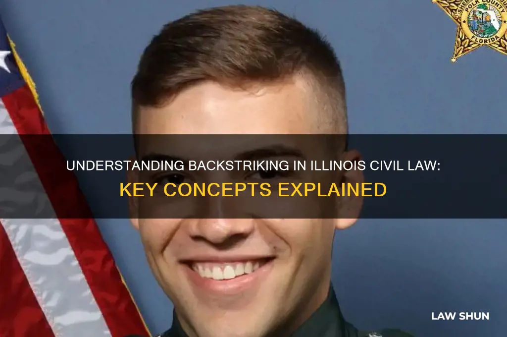 Understanding Backstriking In Illinois Civil Law: Key Concepts ...