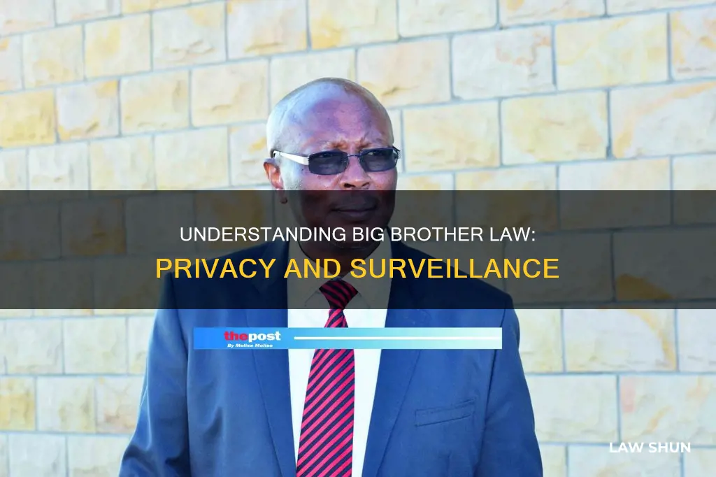Understanding Big Brother Law: Privacy And Surveillance | LawShun