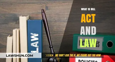 Understanding Overt Acts: Legal Definition And Implications Explained ...