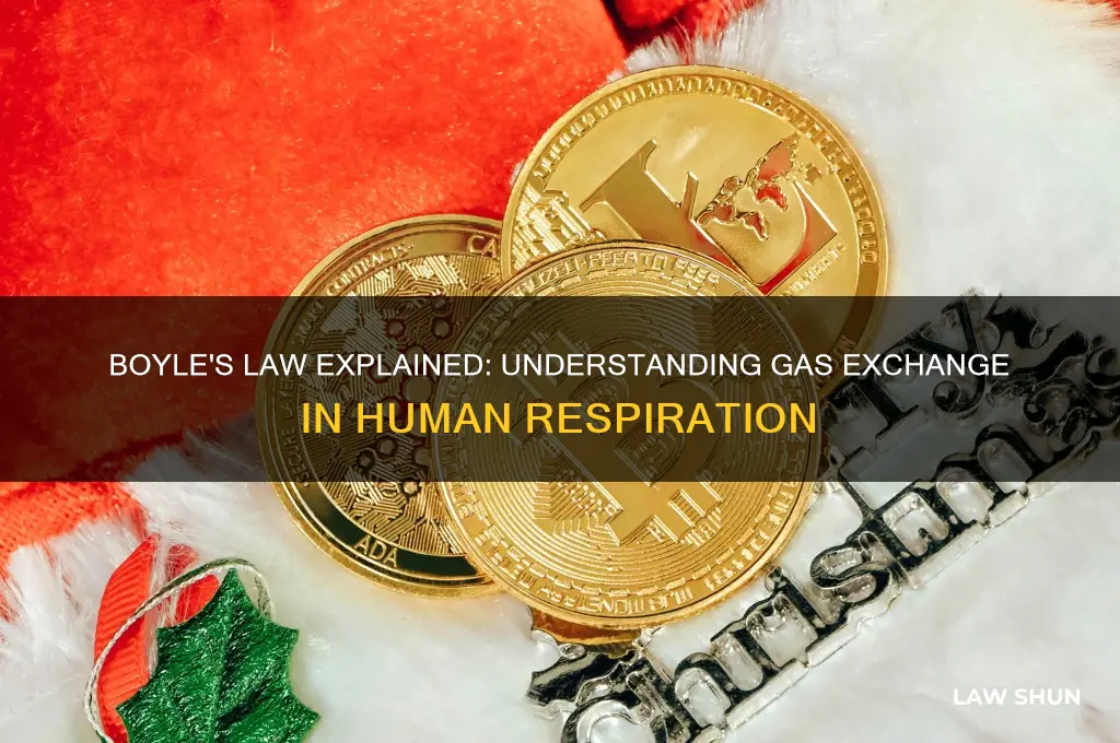 Boyle's Law Explained: Understanding Gas Exchange In Human Respiration ...