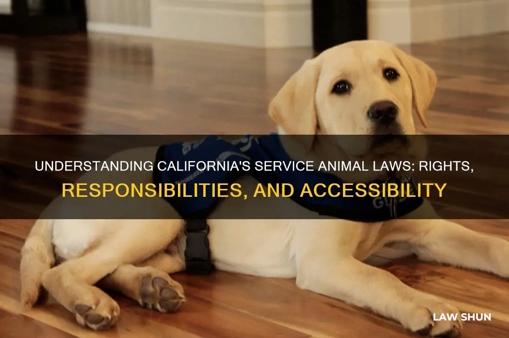Understanding California's Service Animal Laws: Rights ...