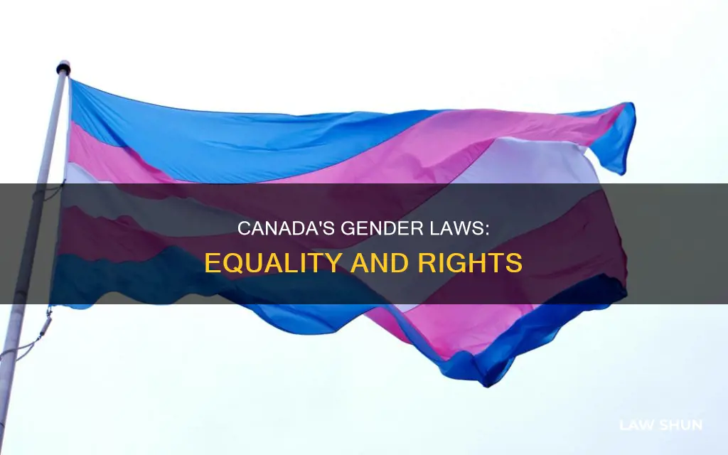 Canada's Gender Laws: Equality And Rights | LawShun