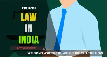 Cas Sports Law: Understanding The Basics | LawShun