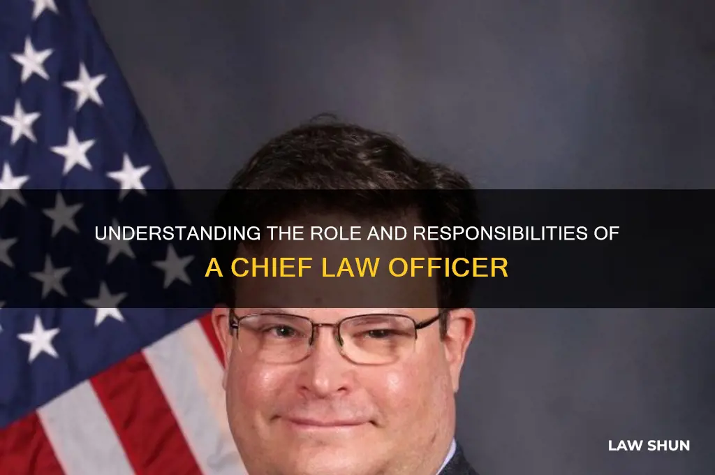 Understanding The Role And Responsibilities Of A Chief Law Officer ...