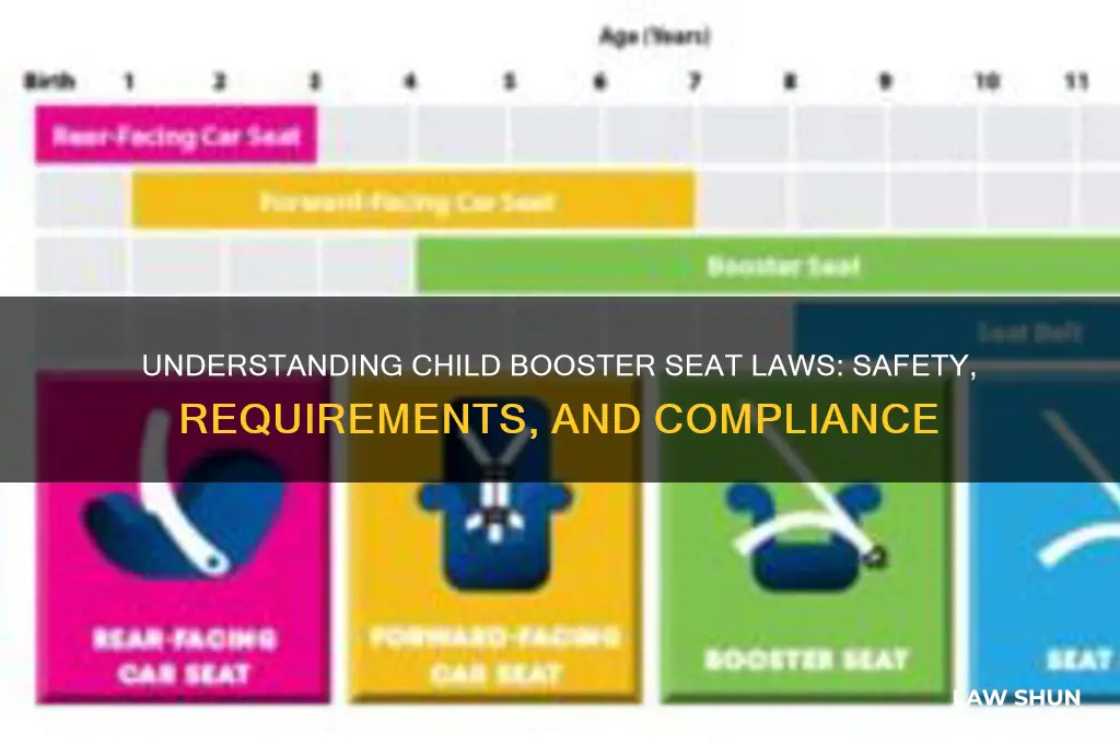 Understanding Child Booster Seat Laws: Safety, Requirements, And ...