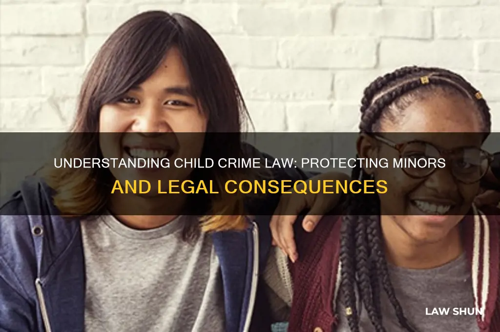 Understanding Child Crime Law: Protecting Minors And Legal Consequences ...