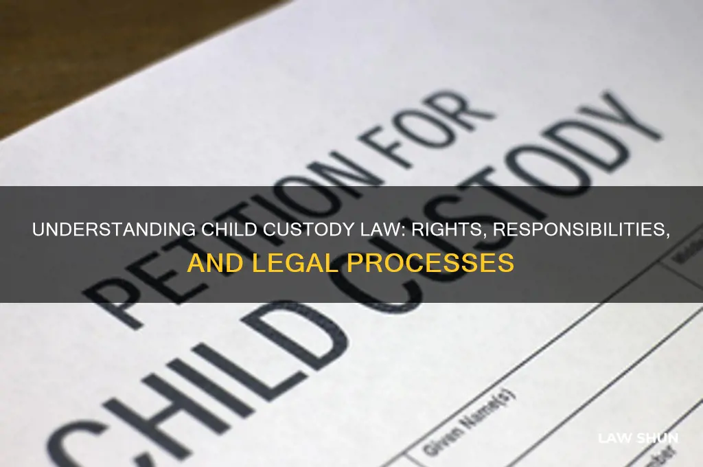 Understanding Child Custody Law: Rights, Responsibilities, And Legal ...