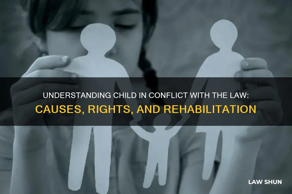 Understanding Child In Conflict With The Law: Causes, Rights, And ...