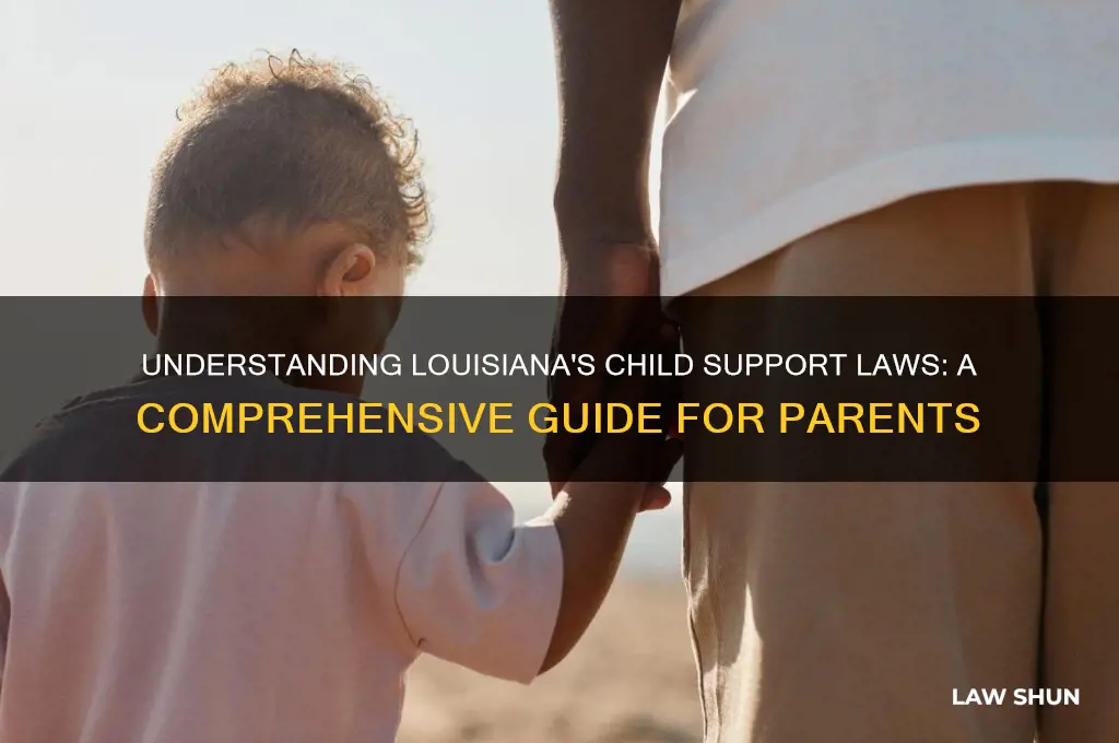 Understanding Louisiana's Child Support Laws: A Comprehensive Guide For ...