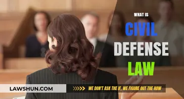 Understanding Affirmative Defense In Civil Law: Key Concepts Explained ...