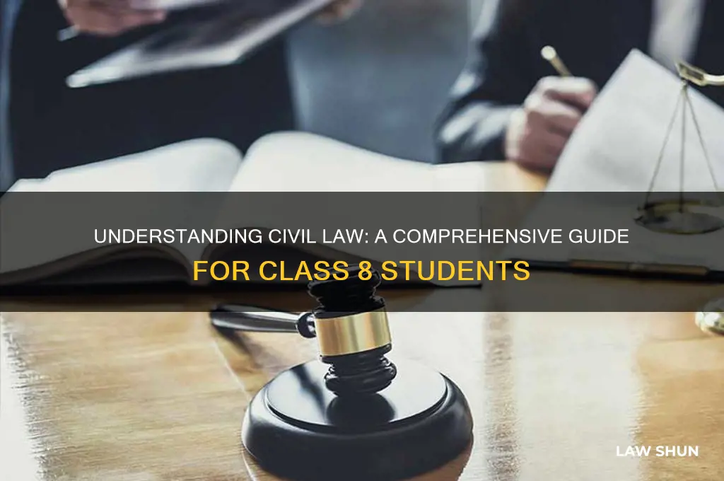 Understanding Civil Law: A Comprehensive Guide For Class 8 Students ...