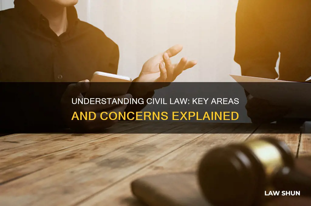 Understanding Civil Law: Key Areas And Concerns Explained | LawShun