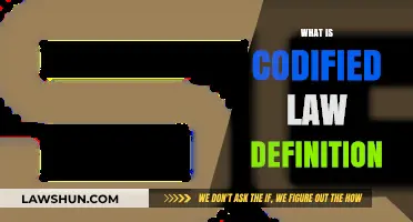 Understanding Computer Law: Definition, Scope, And Legal Implications ...