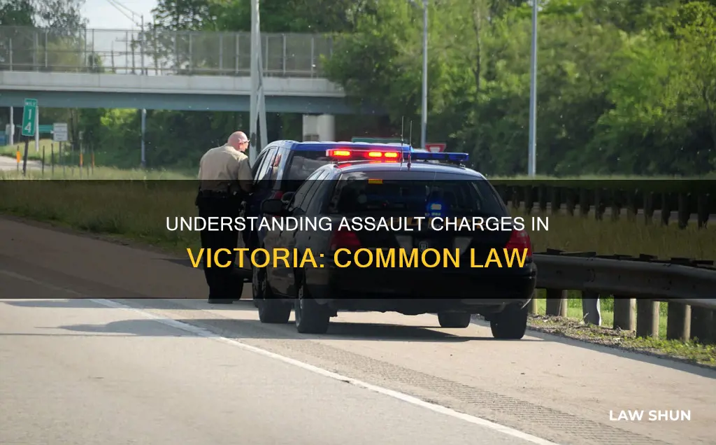 Understanding Assault Charges In Victoria: Common Law | LawShun