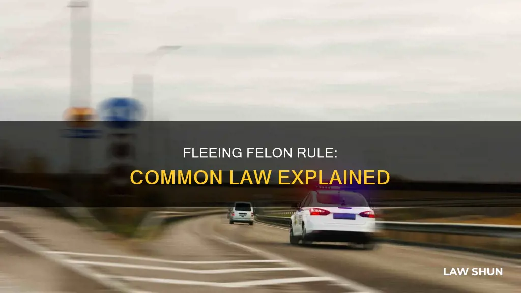 Fleeing Felon Rule: Common Law Explained | LawShun