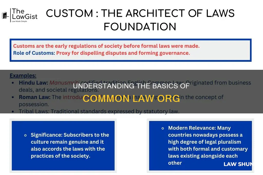 Understanding The Basics Of Common Law Org | LawShun