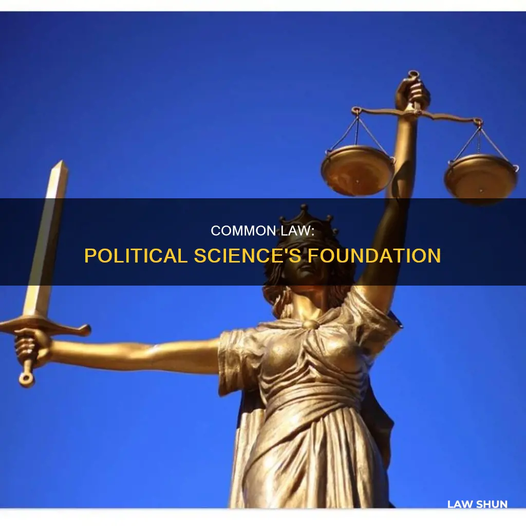 Common Law: Political Science's Foundation | LawShun