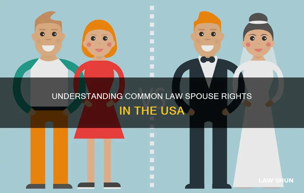 Understanding Common Law Spouse Rights In The Usa | LawShun