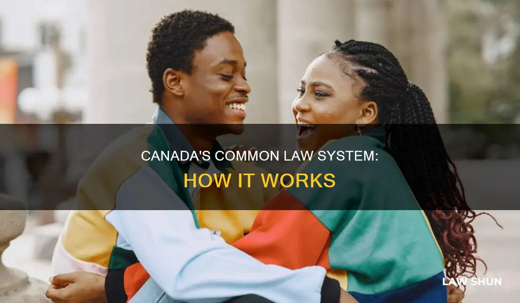 Canada's Common Law System: How It Works | LawShun
