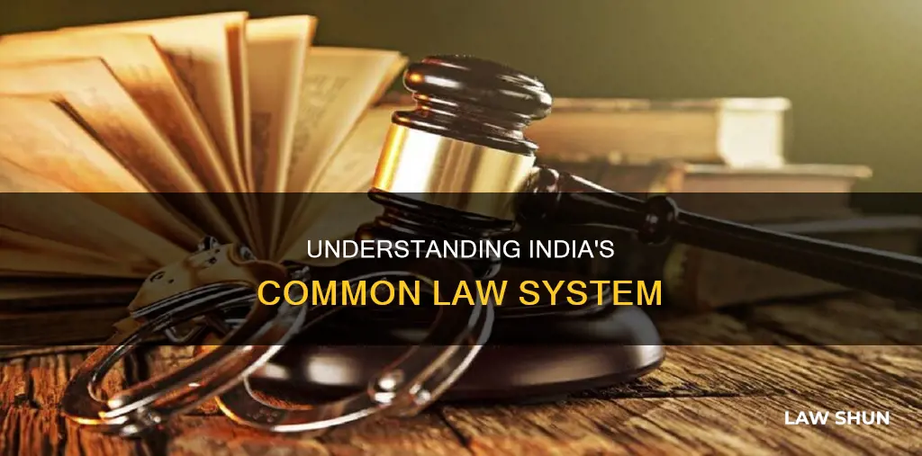 Understanding India's Common Law System | LawShun