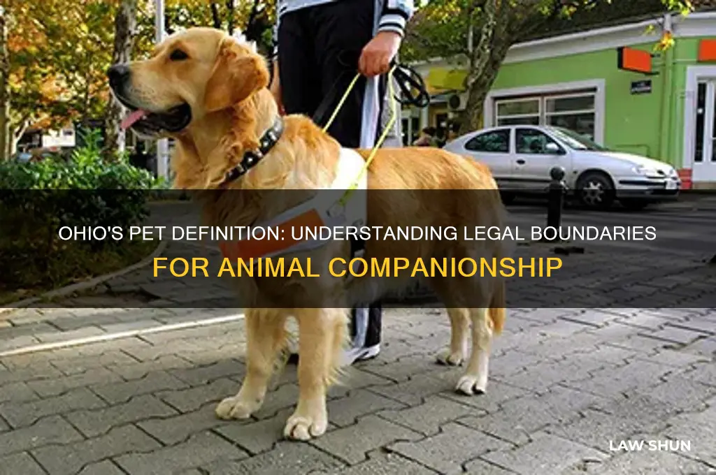 Ohio's Pet Definition: Understanding Legal Boundaries For Animal ...