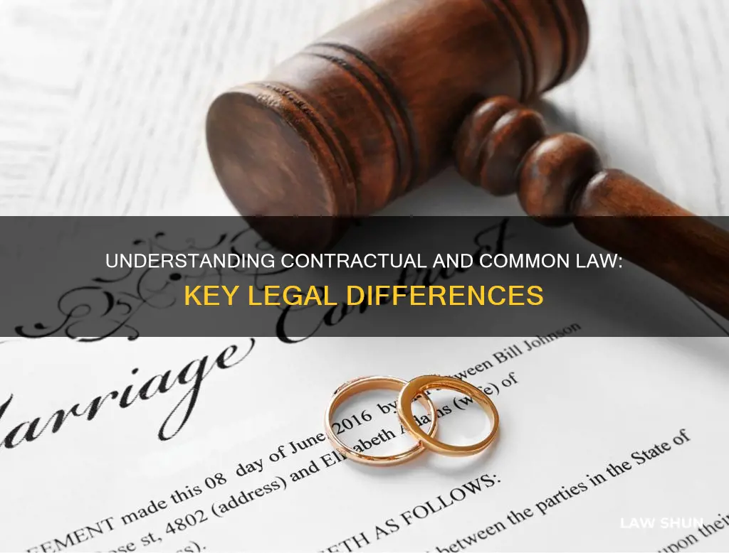 Understanding Contractual And Common Law: Key Legal Differences | LawShun