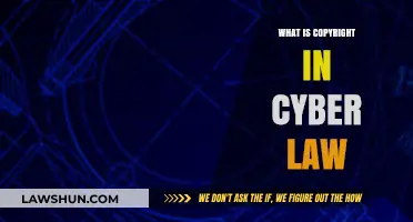 Understanding Uk Copyright Laws: Duration And Details | LawShun