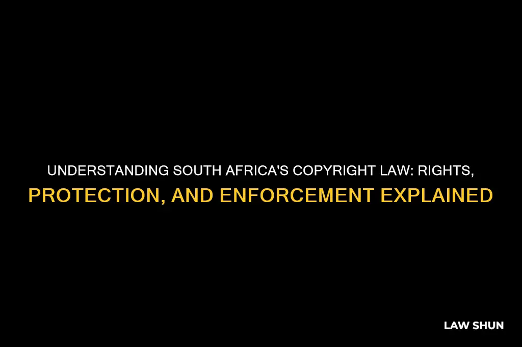 Understanding South Africa's Copyright Law: Rights, Protection, And ...