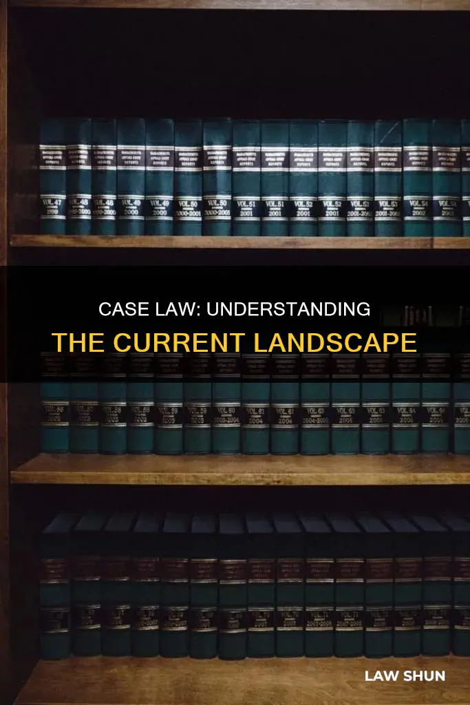 Case Law: Understanding The Current Landscape | LawShun