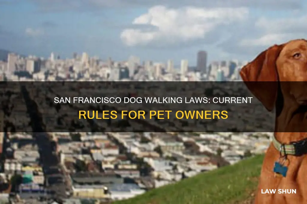 San Francisco Dog Walking Laws: Current Rules For Pet Owners | LawShun