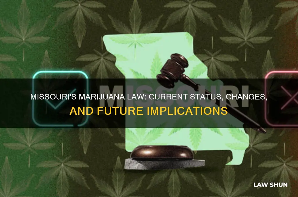 Missouri's Marijuana Law: Current Status, Changes, And Future ...