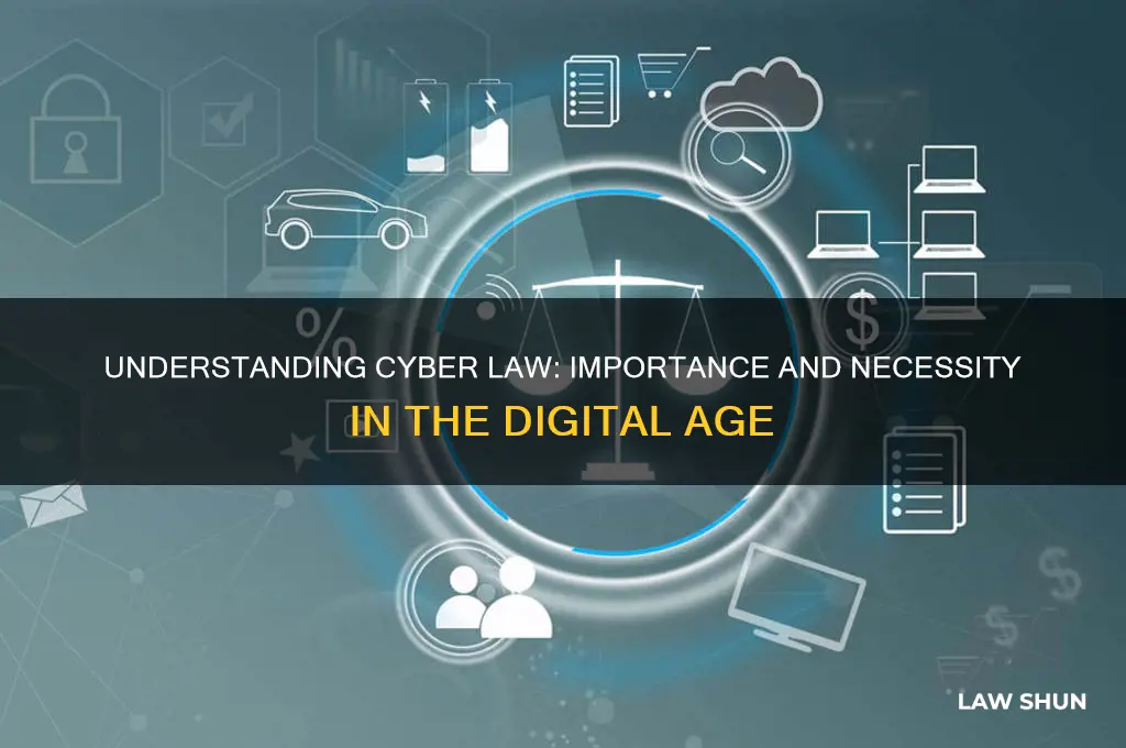 Understanding Cyber Law: Importance And Necessity In The Digital Age ...