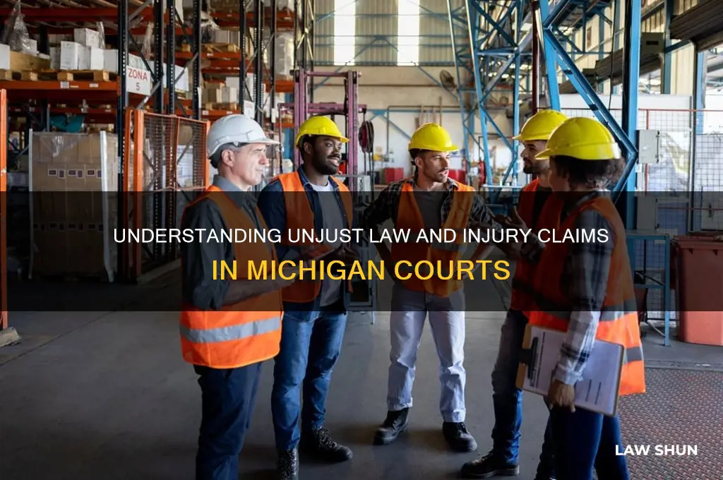 Understanding Unjust Law And Injury Claims In Michigan Courts | LawShun