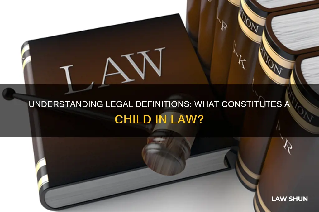 Understanding Legal Definitions: What Constitutes A Child In Law? | LawShun