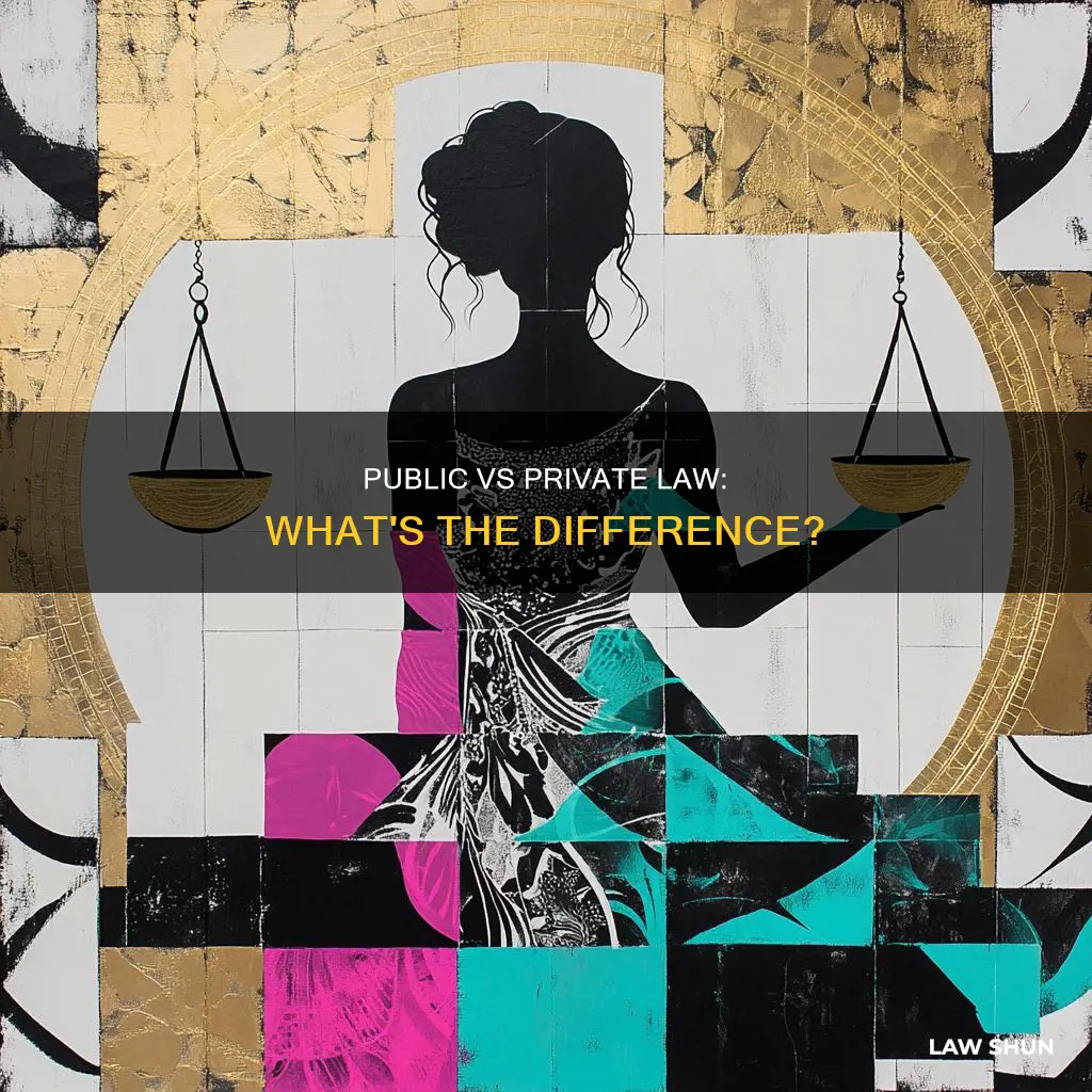 Public Vs Private Law: What's The Difference? | LawShun