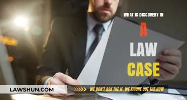 Understanding The Law Of The Case Doctrine | LawShun