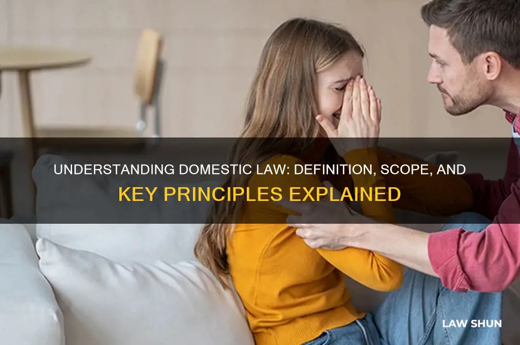 Understanding Domestic Law: Definition, Scope, And Key Principles ...
