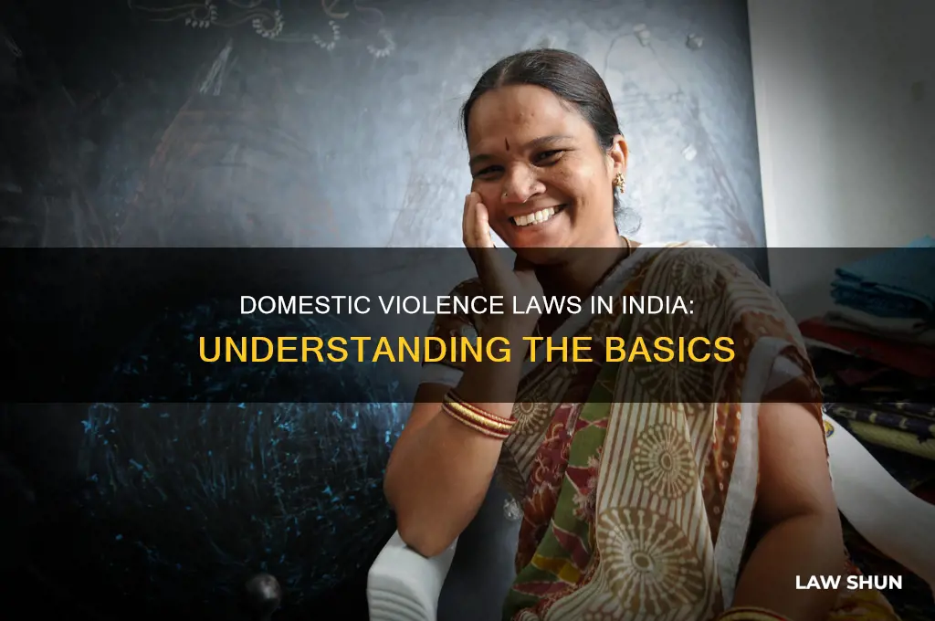 Domestic Violence Laws In India: Understanding The Basics | LawShun