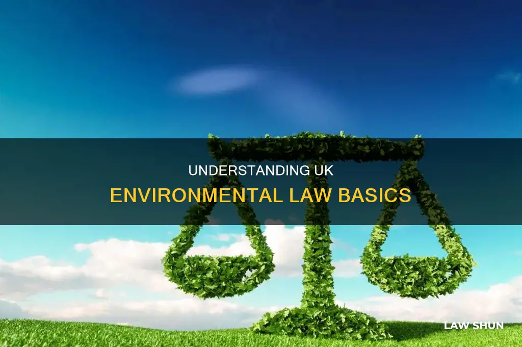 Understanding Uk Environmental Law Basics | LawShun