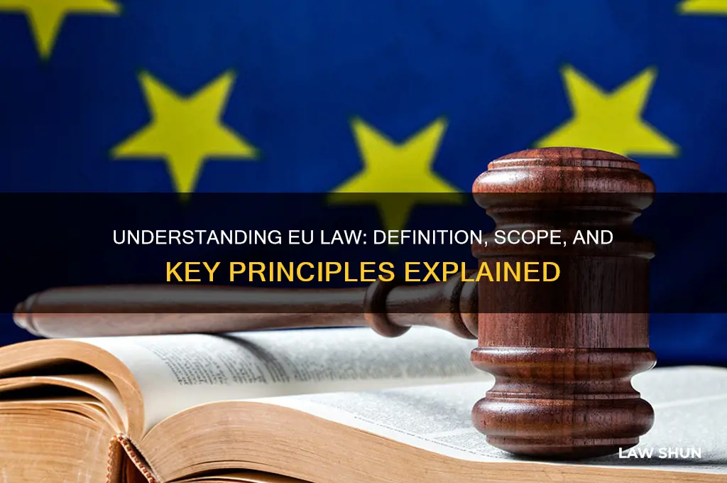 Understanding Eu Law: Definition, Scope, And Key Principles Explained ...