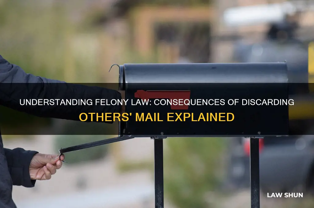 Understanding Felony Law: Consequences Of Discarding Others' Mail ...