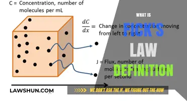 Understanding Immunity Definition In Law: Key Concepts And Legal ...