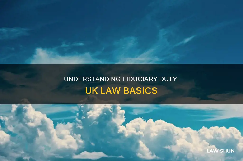 Understanding Fiduciary Duty: Uk Law Basics | LawShun