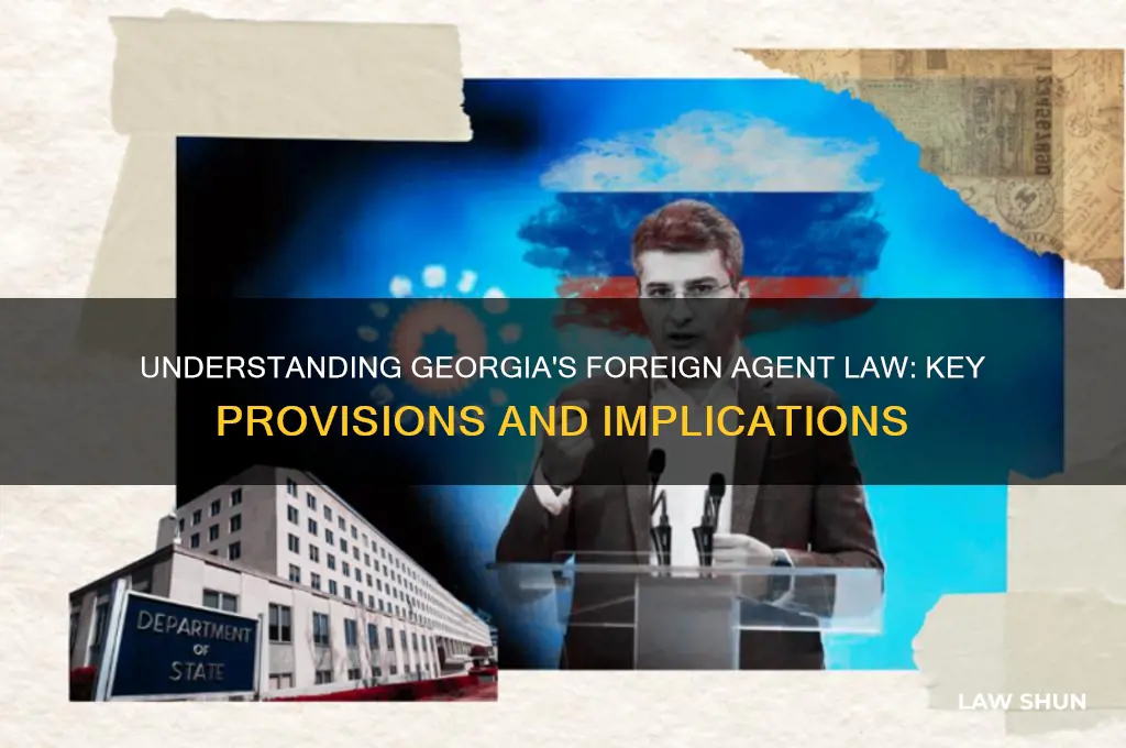 Understanding Georgia's Foreign Agent Law: Key Provisions And ...