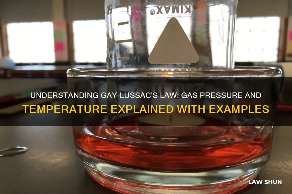 Understanding Gay-Lussac's Law: Gas Pressure And Temperature Explained ...