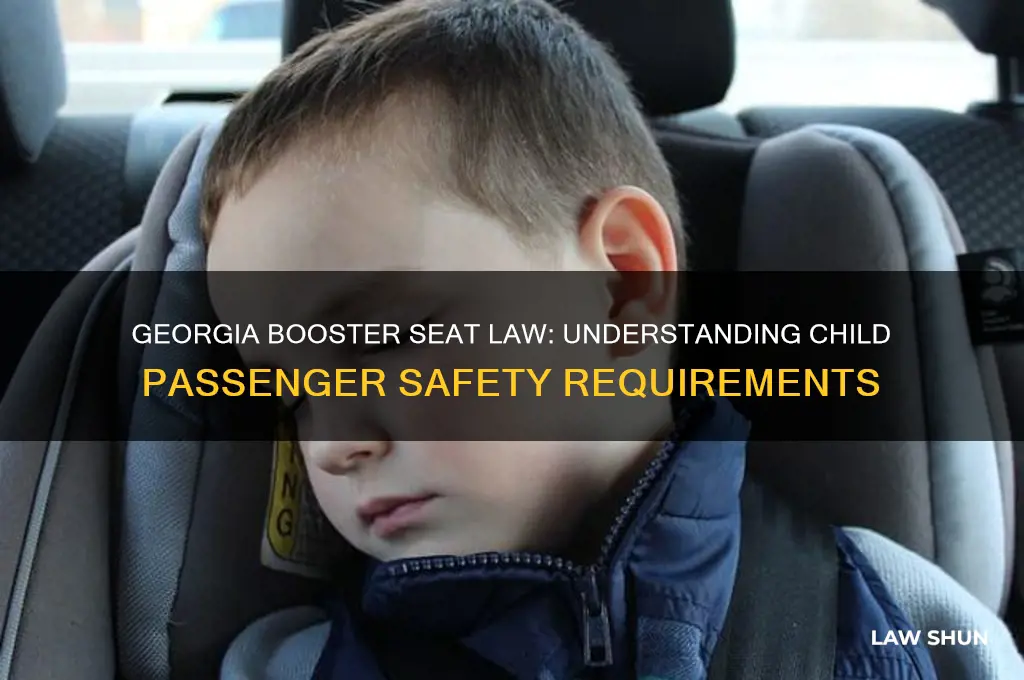 Georgia Booster Seat Law: Understanding Child Passenger Safety ...