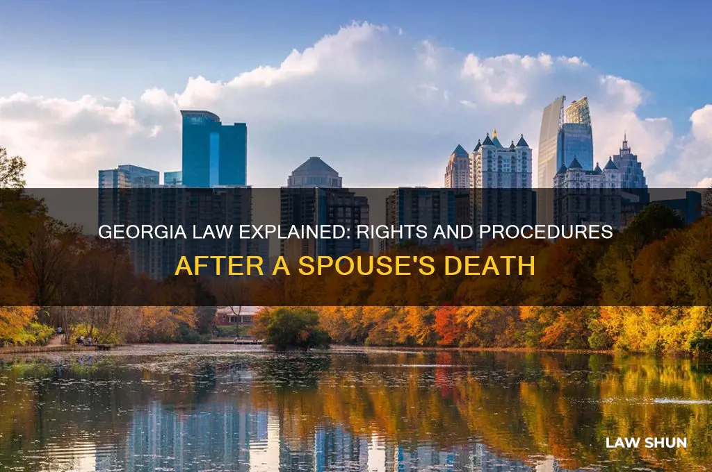 Georgia Law Explained: Rights And Procedures After A Spouse's Death ...
