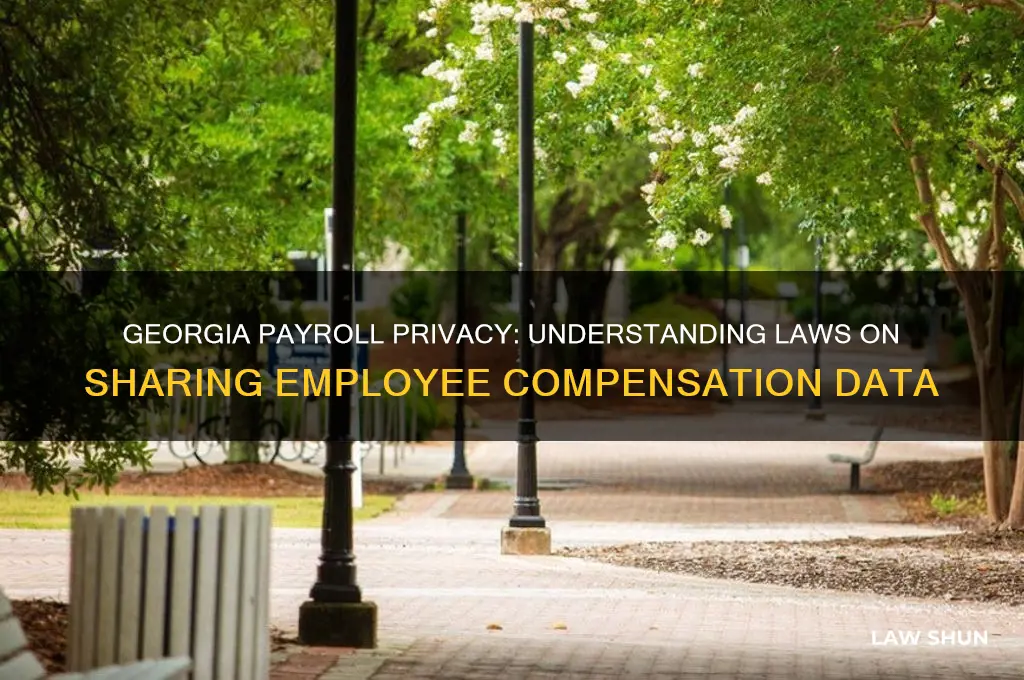 Georgia Payroll Privacy: Understanding Laws On Sharing Employee ...
